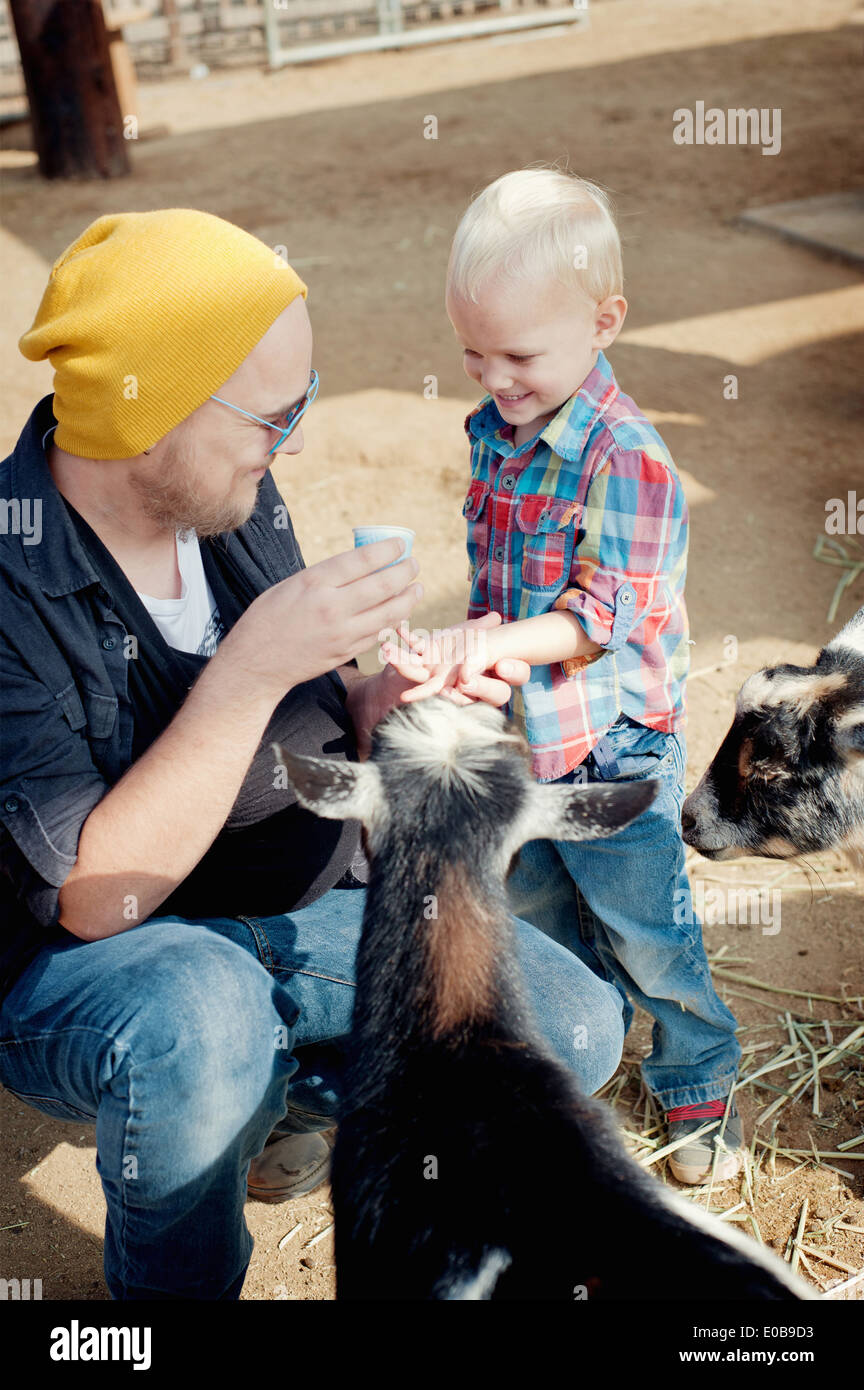 Father son goat hi-res stock photography and images - Alamy