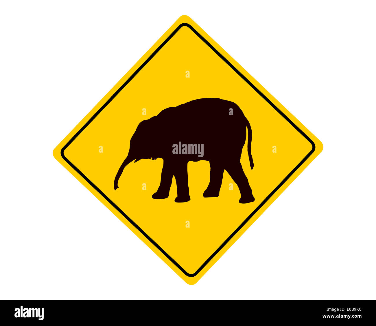 Young elephant warning sign Stock Photo - Alamy