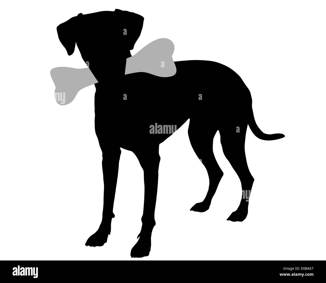 Dog with bone Stock Photo - Alamy