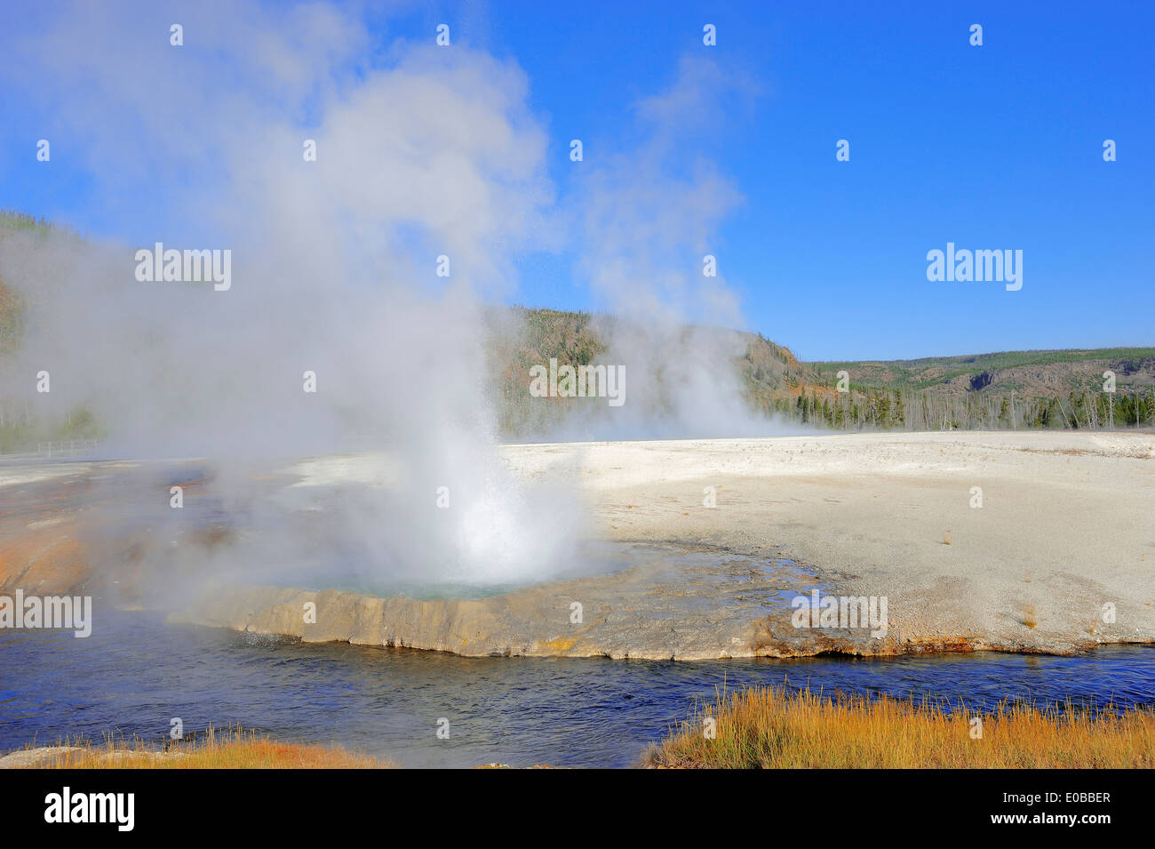 Cliff Geyser, Black Sand Basin, Yellowstone national park, USA Stock ...
