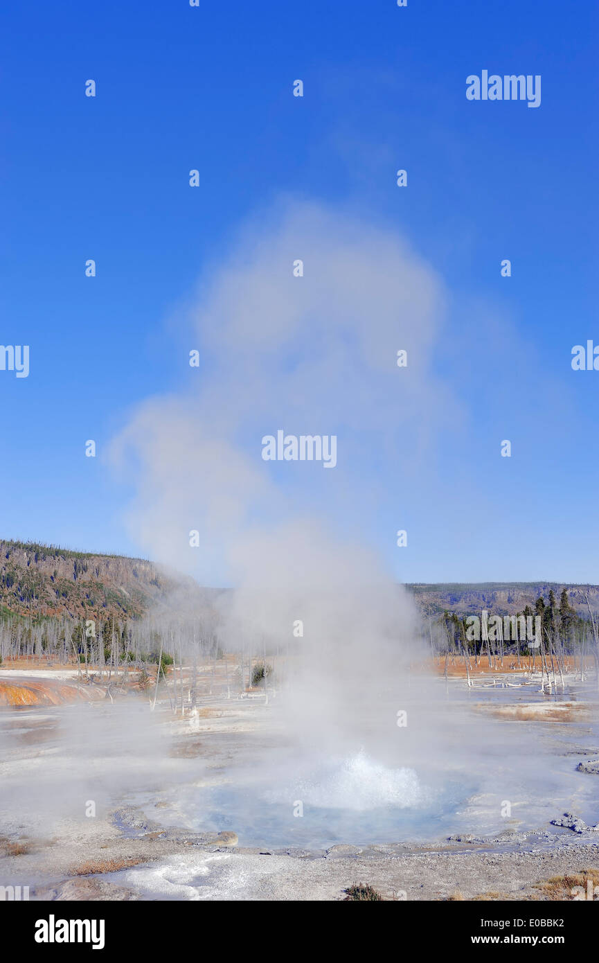 Spouter Geyser, Black Sand Basin, Yellowstone national park, USA Stock ...