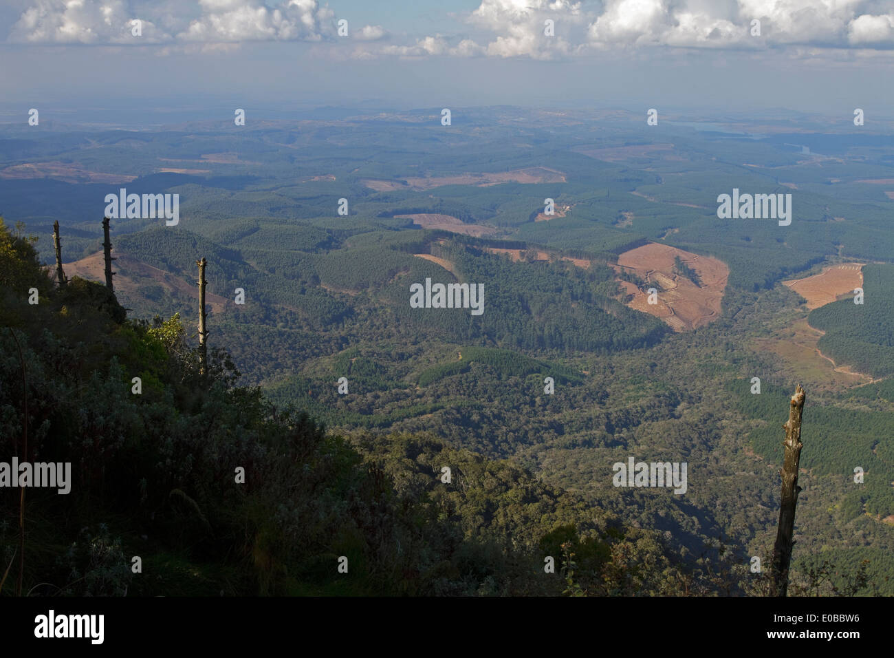 View at Wonder View, Blyde River Canyon, Northern Drakensberg ...