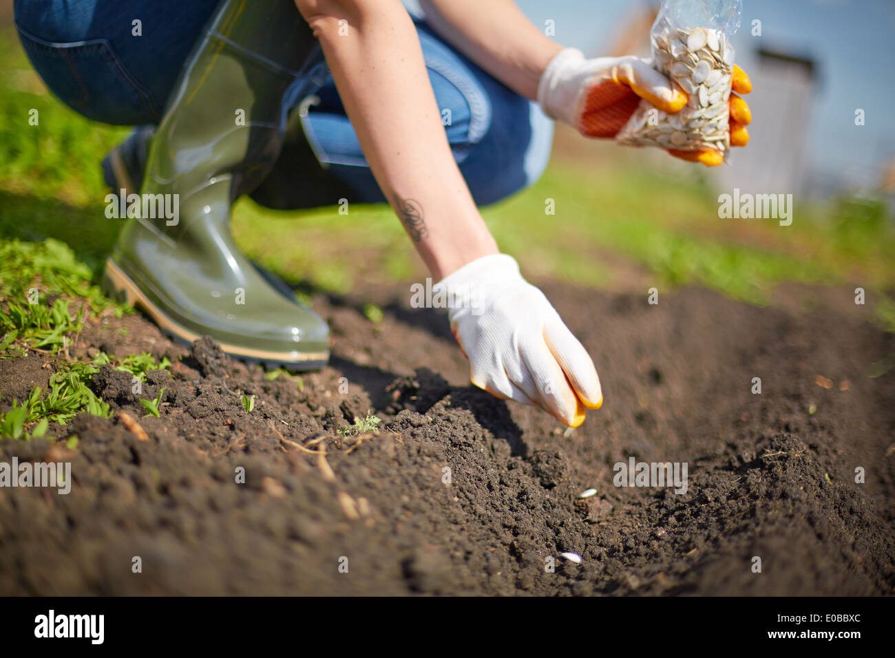 Image female farmer sowing seed hi-res stock photography and images - Alamy