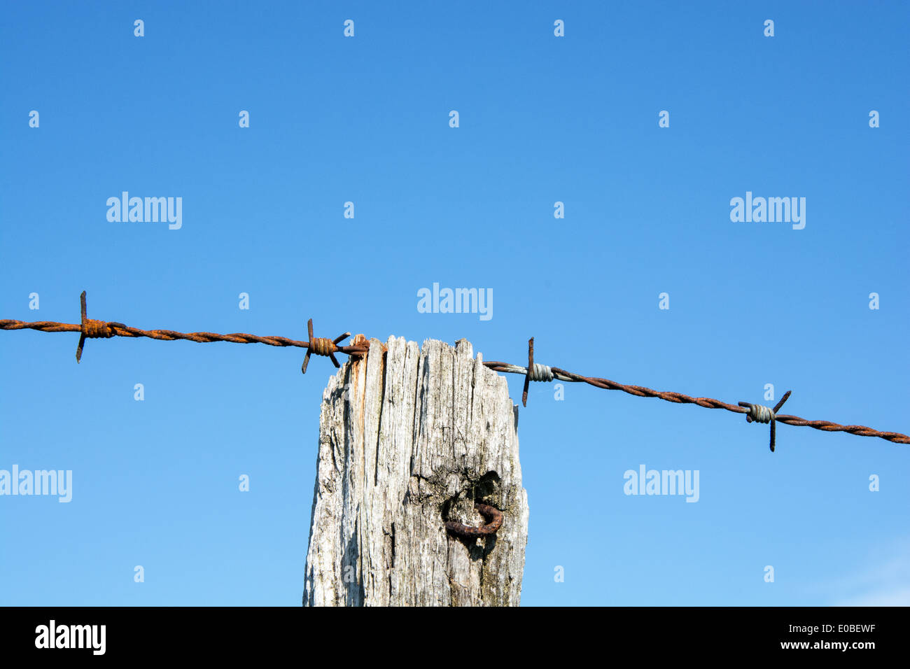 Rusty barbed wire Stock Photo - Alamy
