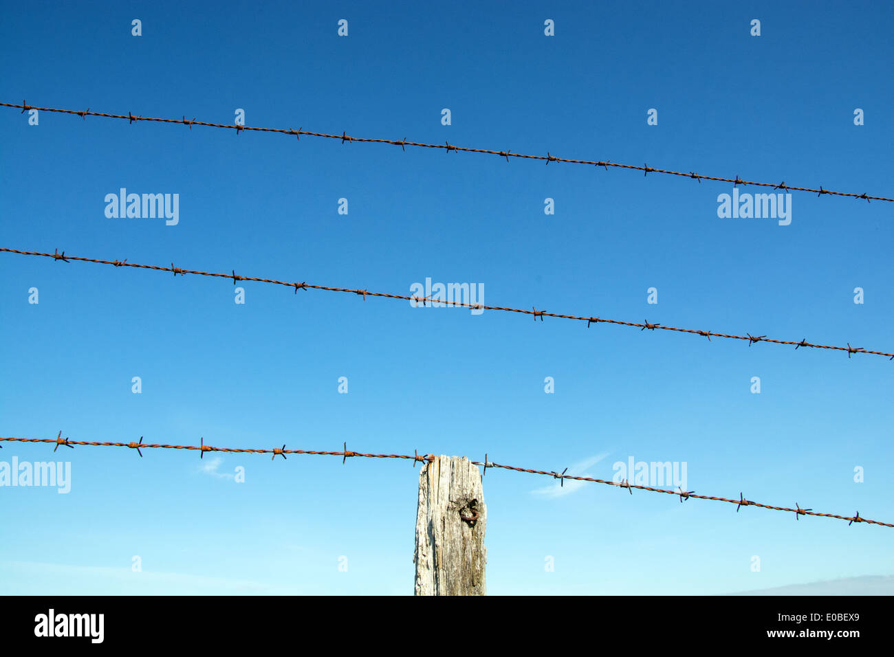 Rusty barbed wire Stock Photo - Alamy