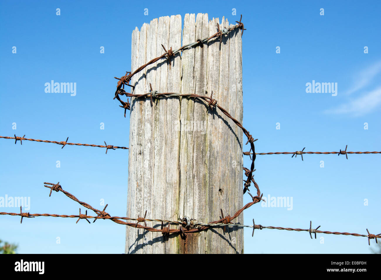 Rusty barbed wire Stock Photo - Alamy