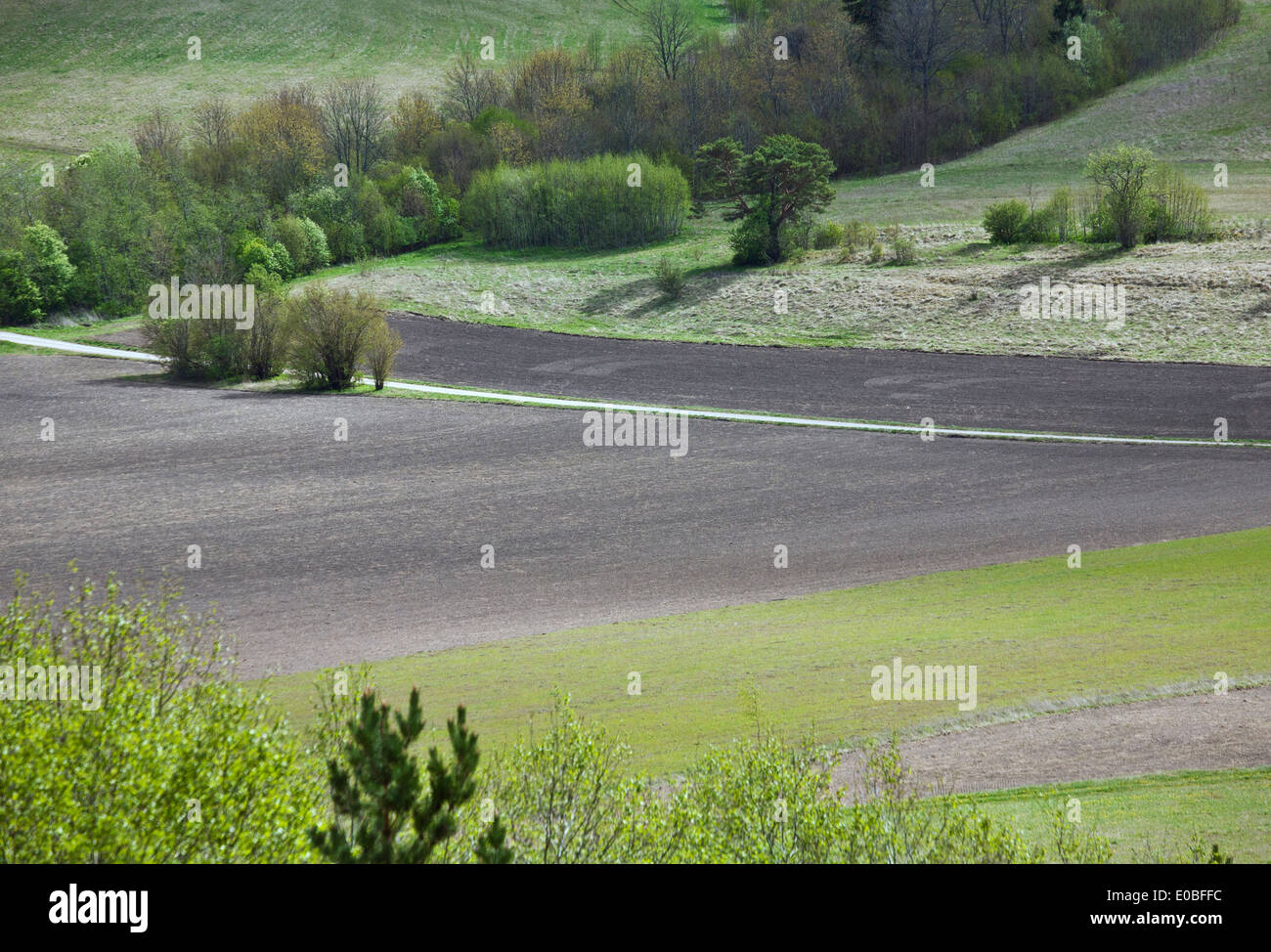 Nature Park Ancient Valley of Abava beautiful landscape in springtime ...