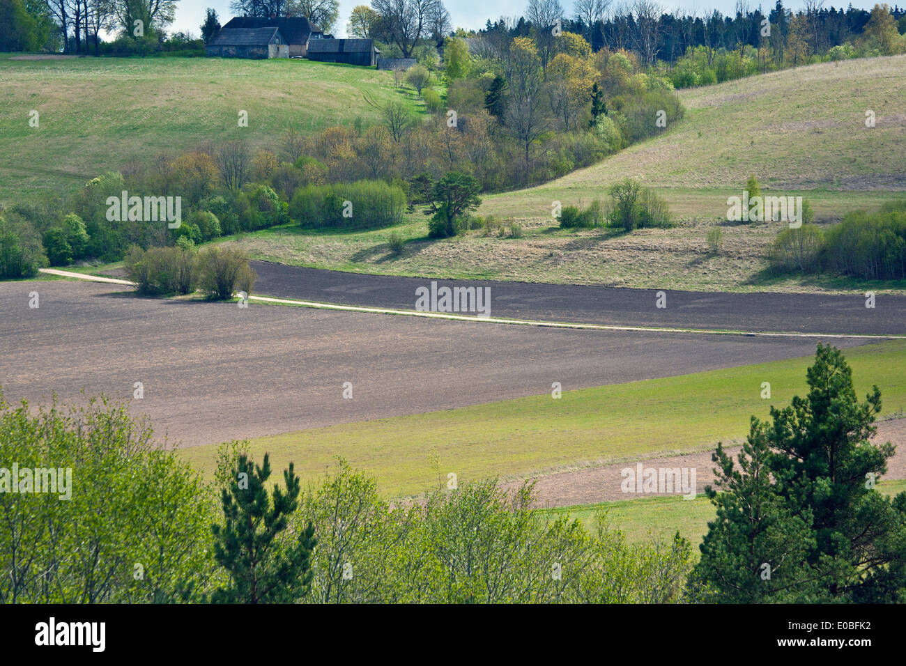 Nature Park Ancient Valley of Abava beautiful landscape in springtime ...