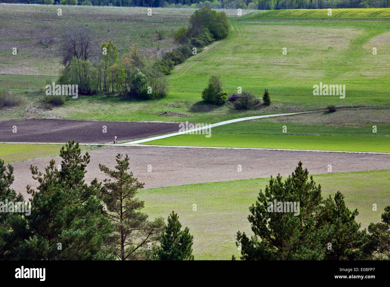 Nature Park Ancient Valley of Abava beautiful landscape in springtime ...
