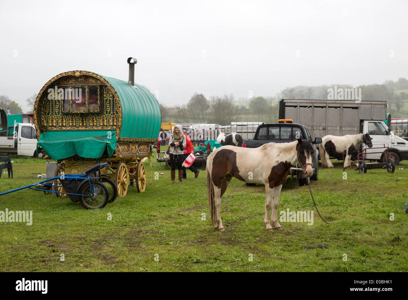 . Gypsy horse fair at Stow on the Wold on a very wet day Stock Photo ...