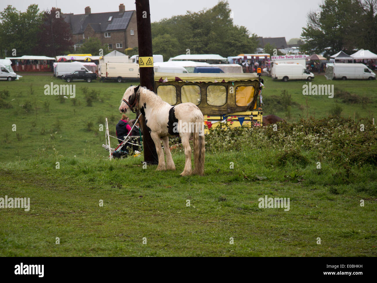 Gypsy horse fair at Stow on the Wold on a very wet day Stock Photo - Alamy