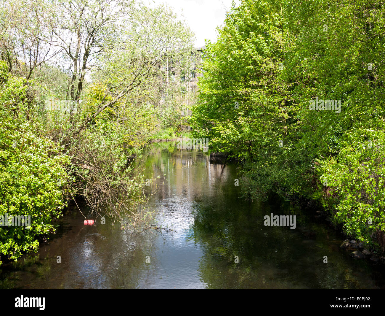 River tame hi-res stock photography and images - Alamy