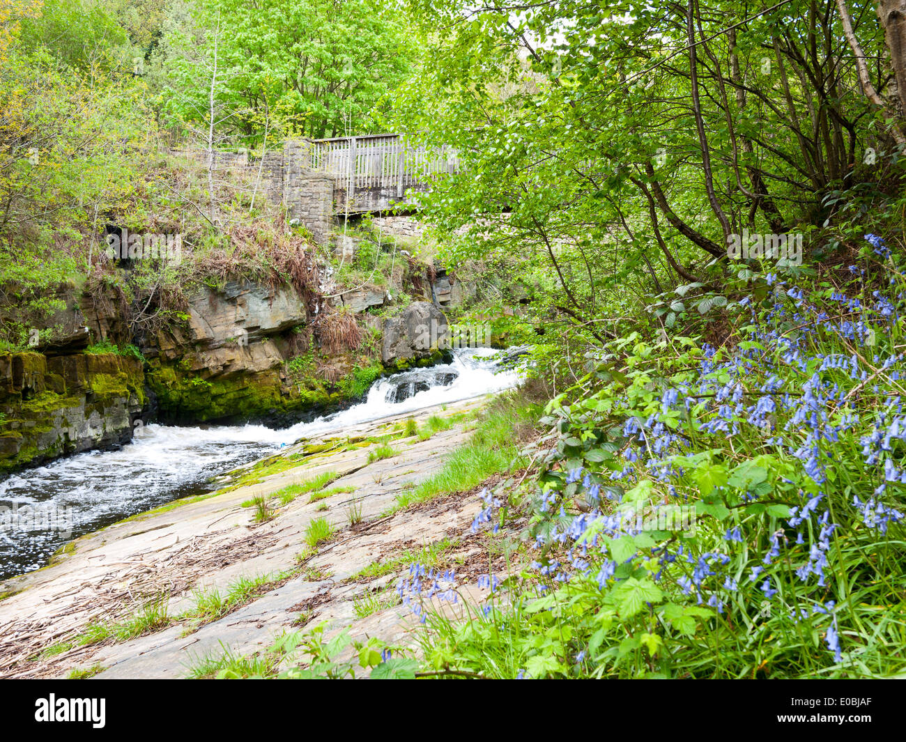 River tame crossing hi-res stock photography and images - Alamy