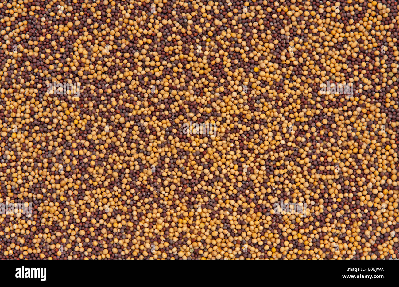 Mixed seeds edible hi-res stock photography and images - Alamy