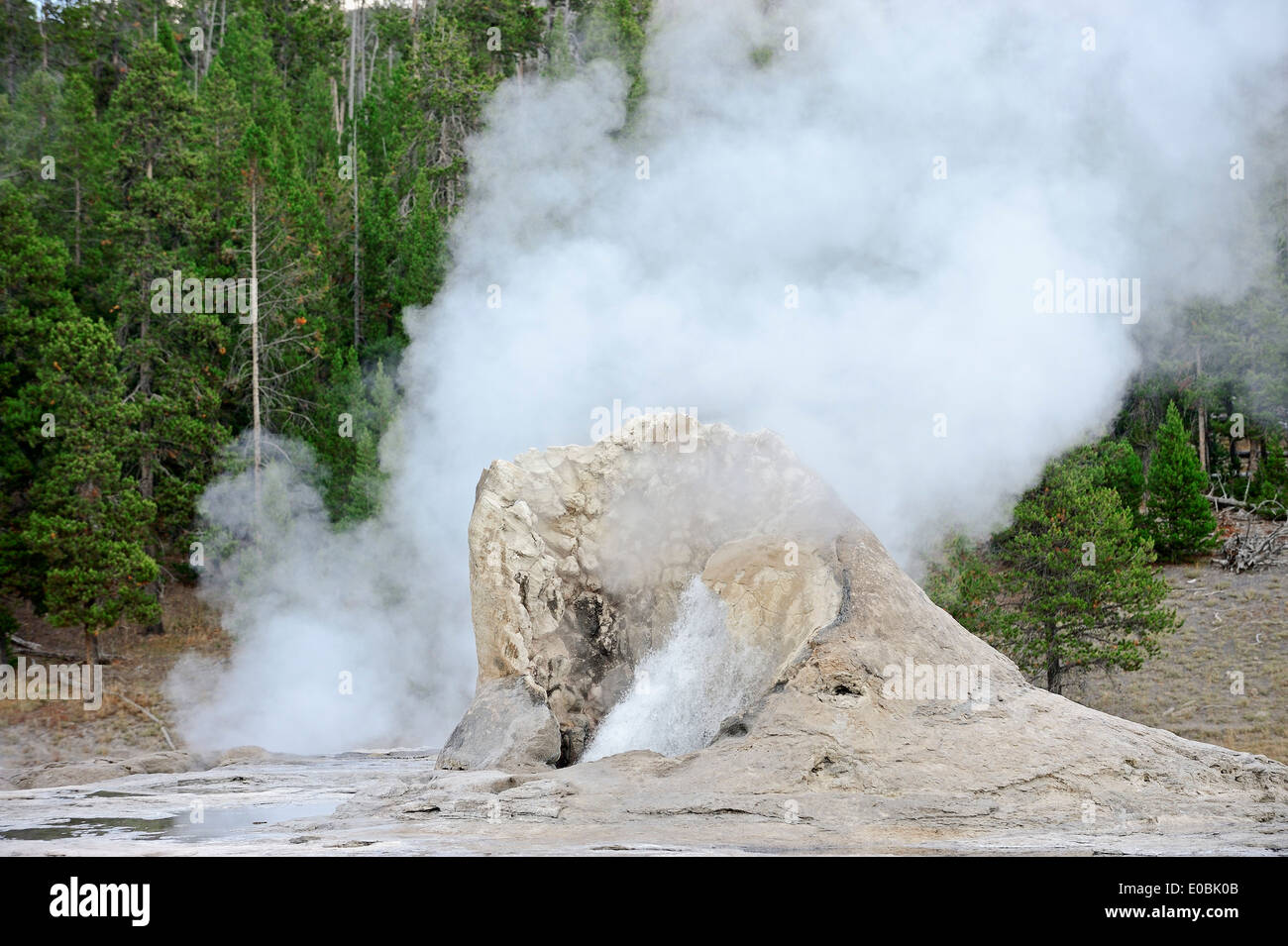 Giant geyser hi-res stock photography and images - Alamy