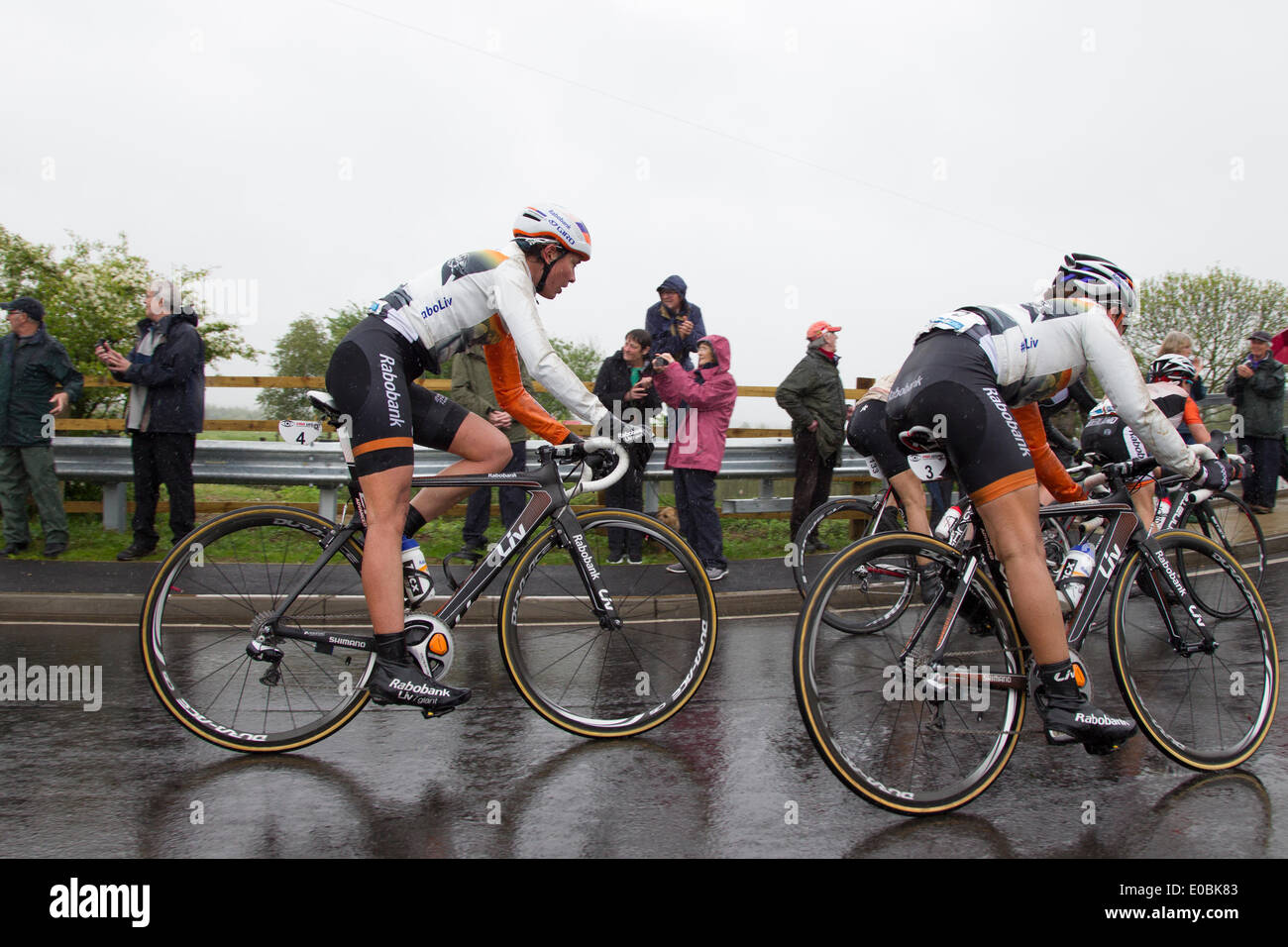 Stage of the life cycle hi-res stock photography and images - Alamy