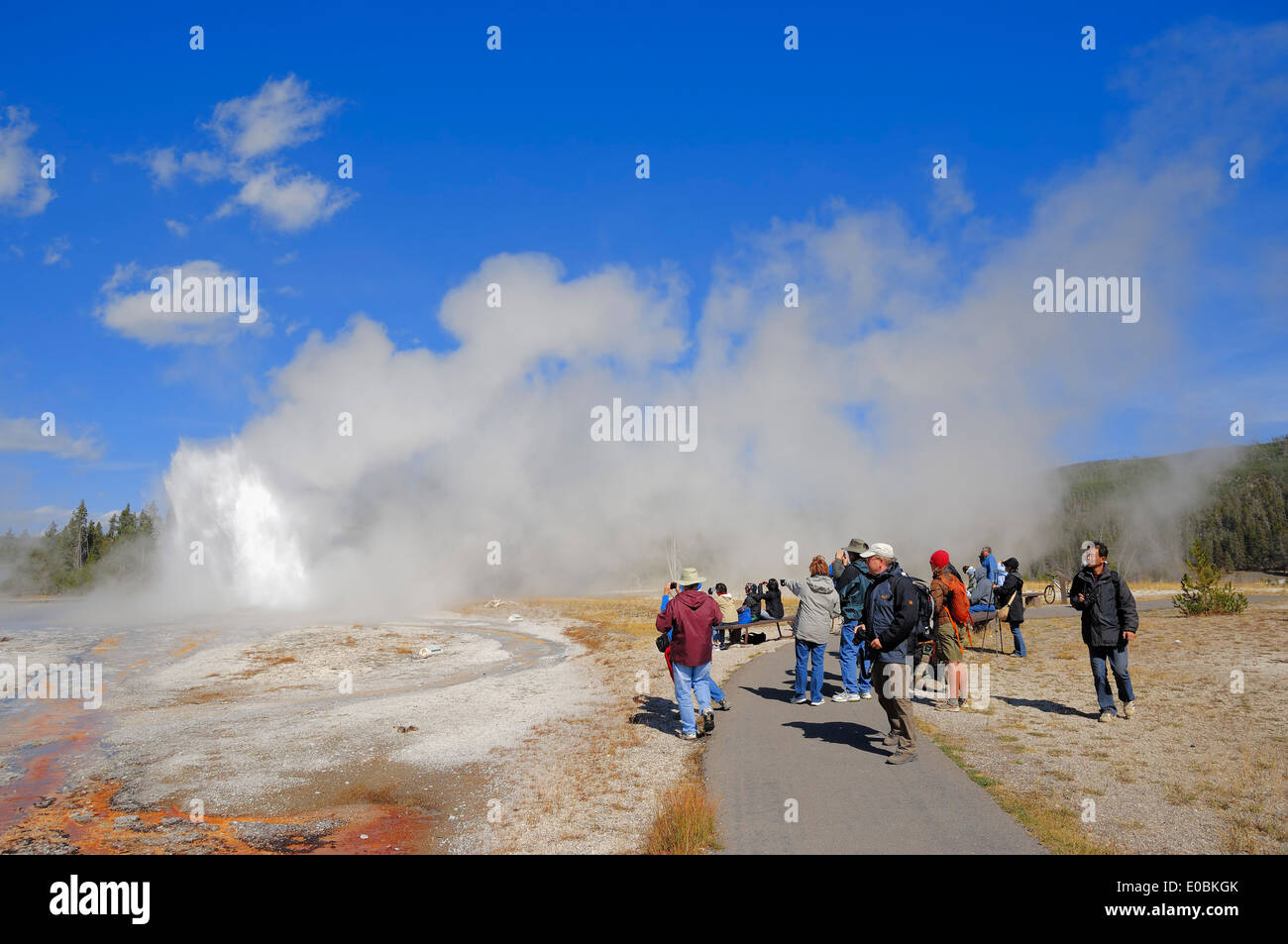 Tourists watching the eruption of Daisy Geyser, Upper Geyser Basin ...
