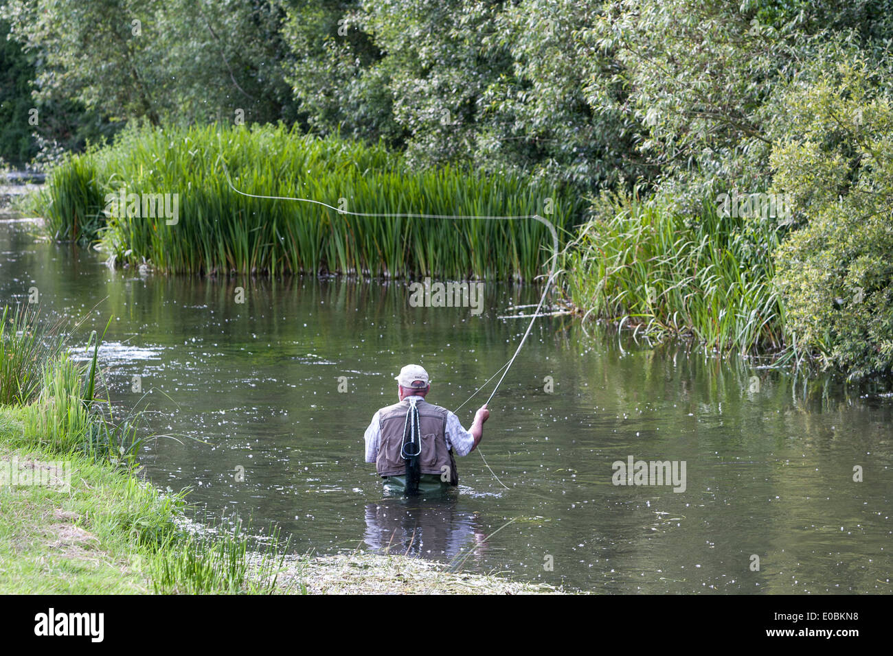Fly fisherman, River Wylye, Wiltshire, England Stock Photo - Alamy