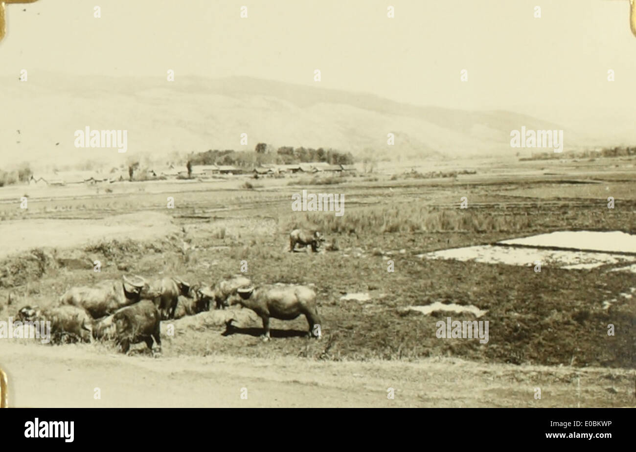 341stbombgroup High Resolution Stock Photography and Images - Alamy