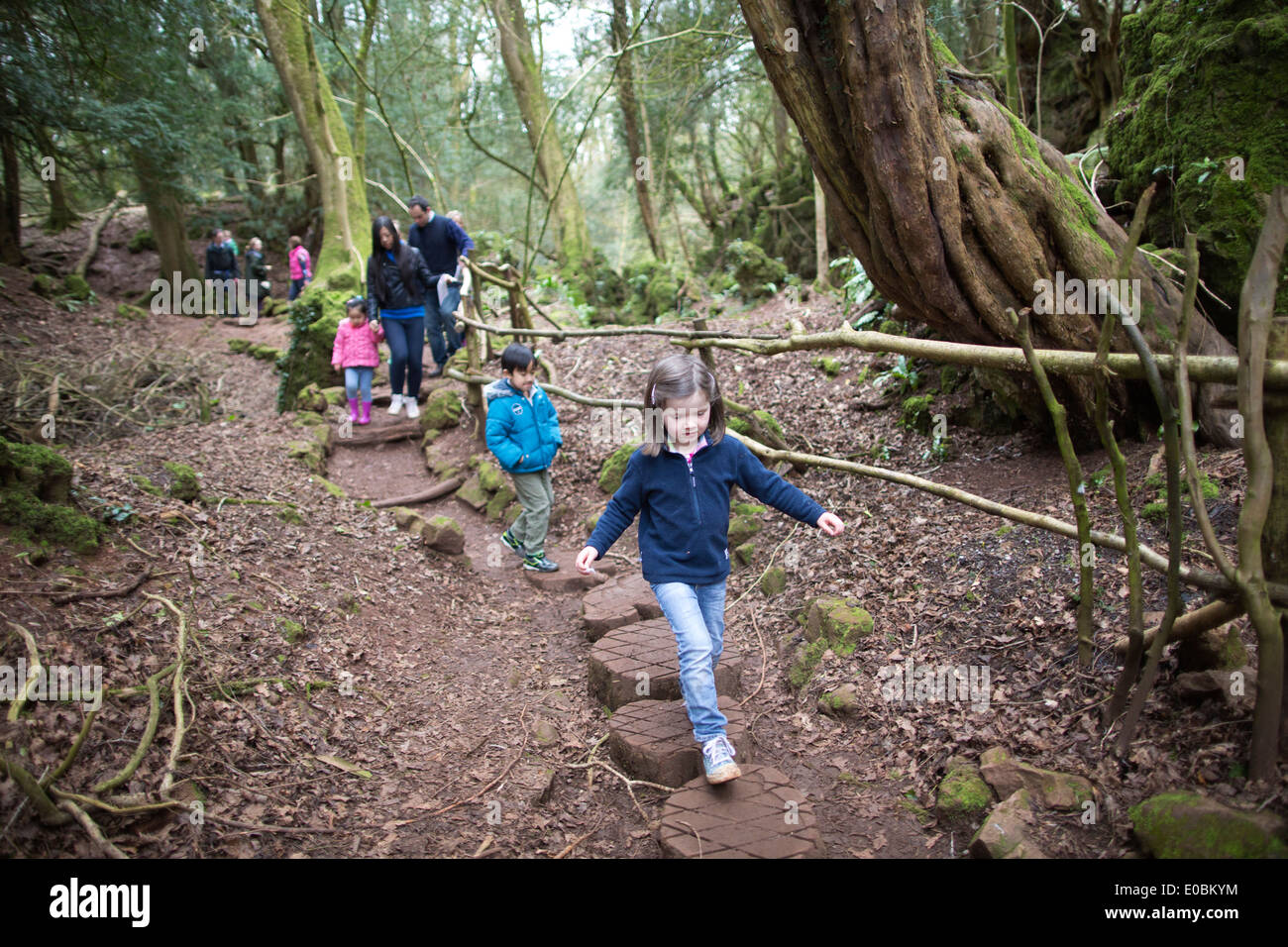 Puzzlewood, Forest of Dean, Gloucestershire, England, UK Stock Photo ...