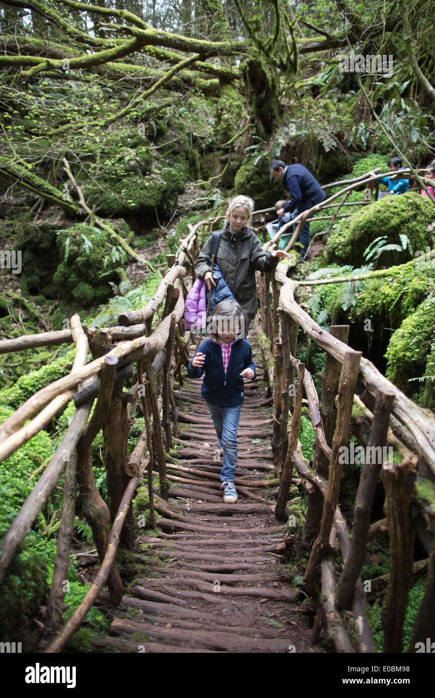 Puzzlewood, Forest of Dean, Gloucestershire, England, UK Stock Photo ...