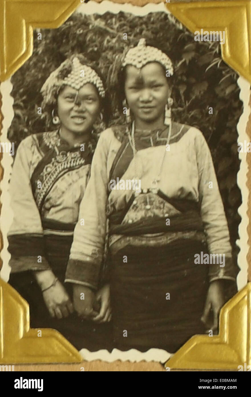 The 341st Bomb Group, including the 491st Squadron, operated B-25 ...