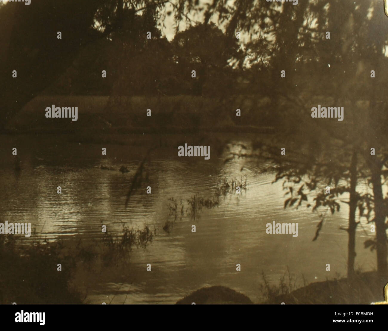 341stbombgroup High Resolution Stock Photography and Images - Alamy