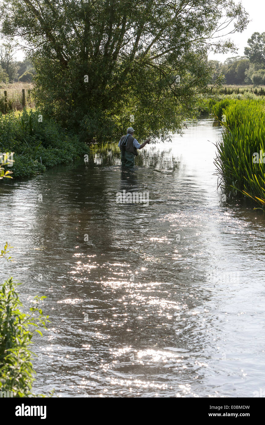 Fly fisherman, River Wylye, Wiltshire, England Stock Photo - Alamy