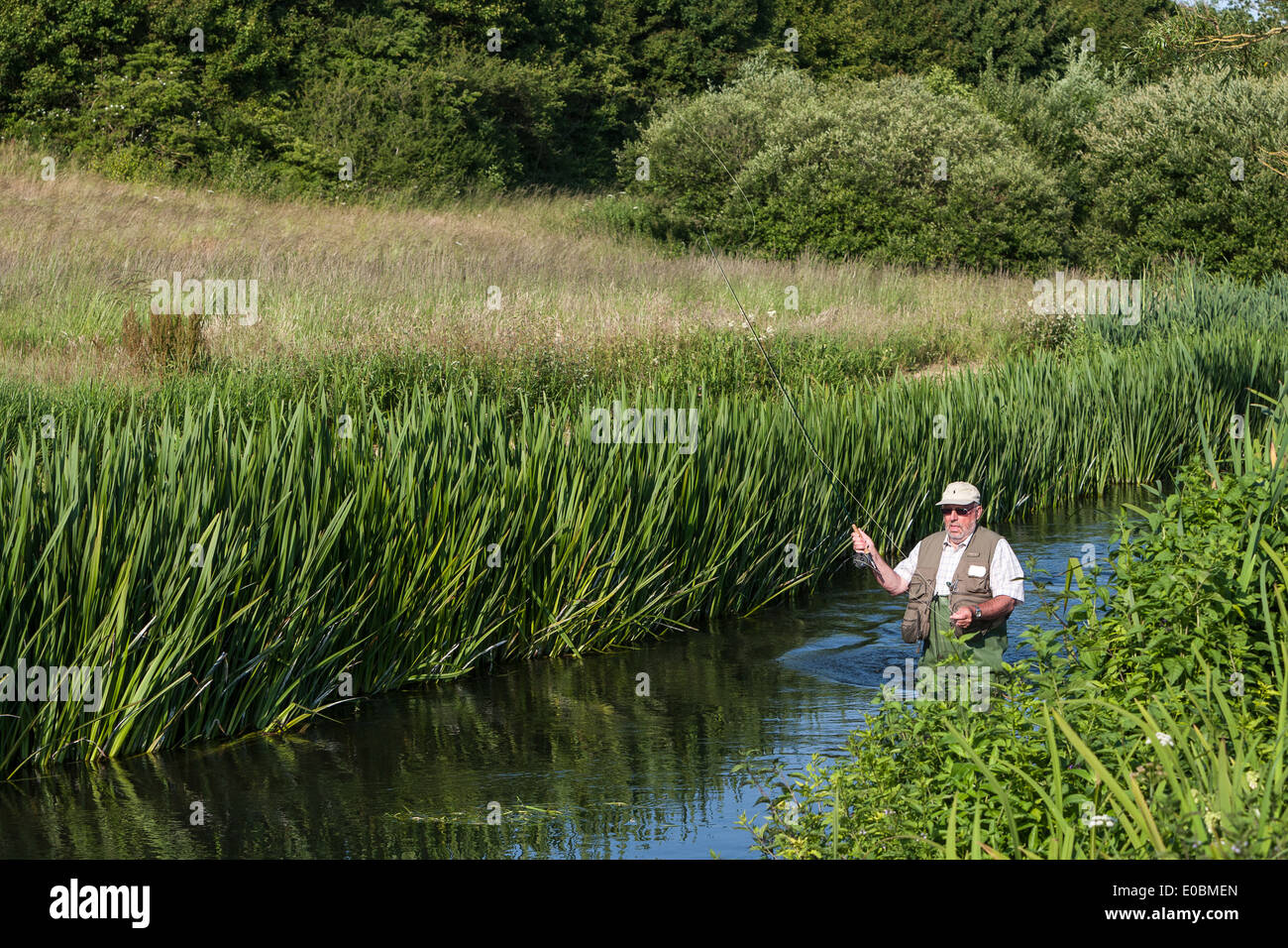 Fly fisherman, River Wylye, Wiltshire, England Stock Photo - Alamy