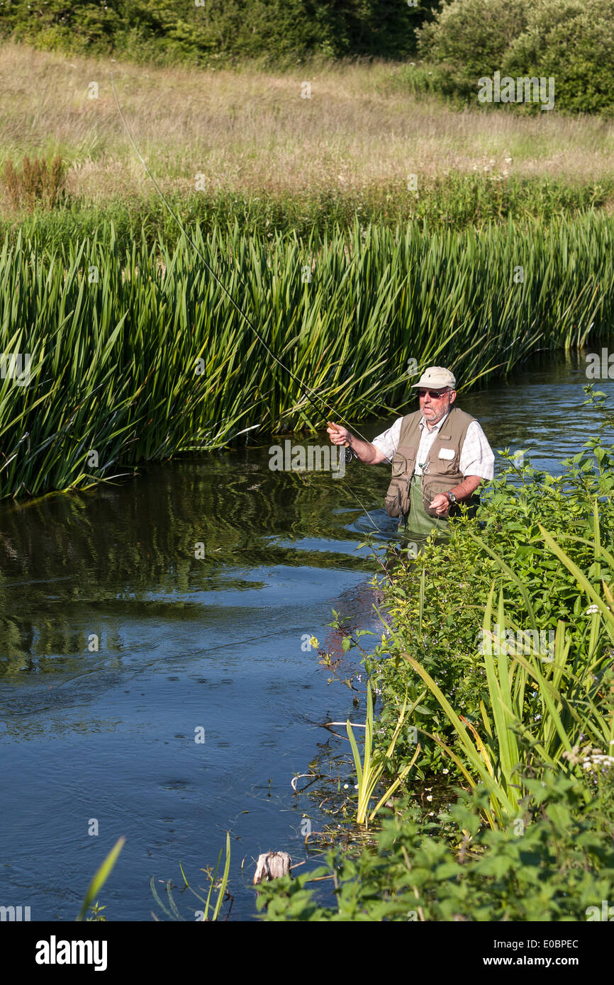 Fly fisherman, River Wylye, Wiltshire, England Stock Photo - Alamy