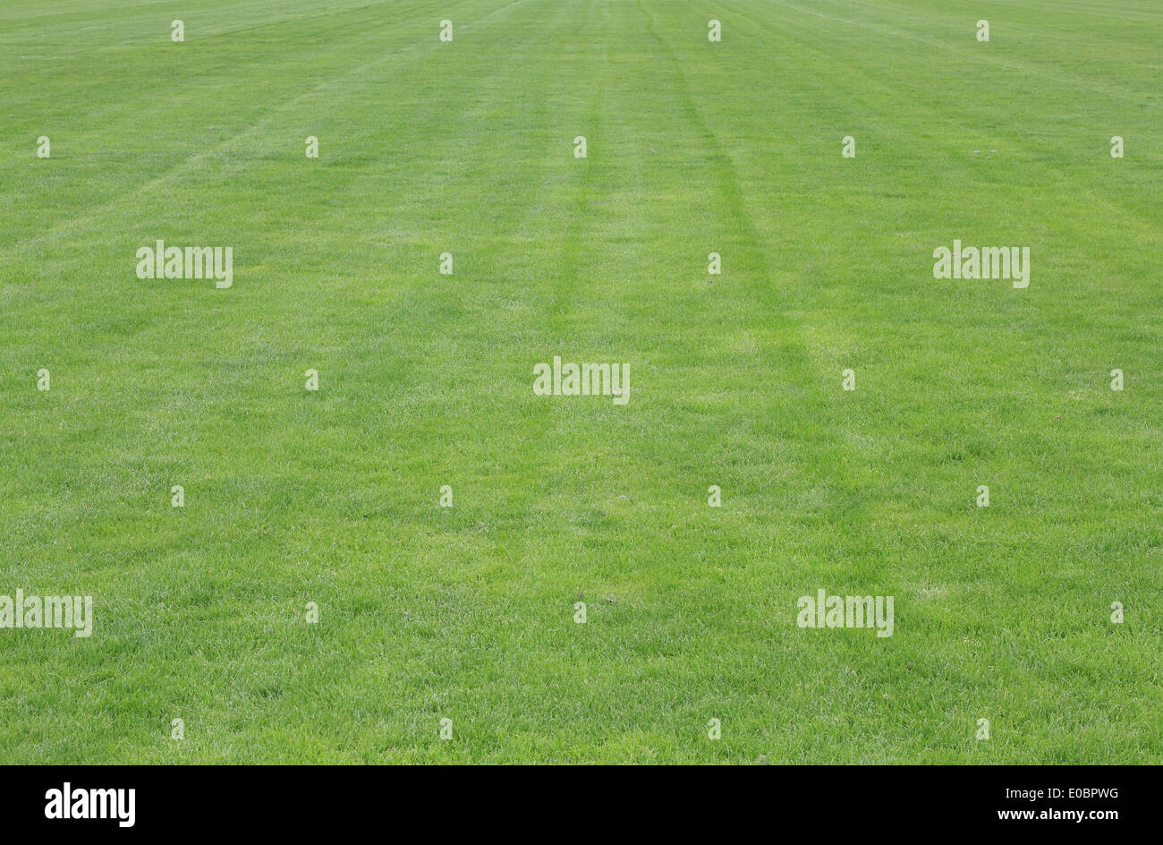 Play field no people hi-res stock photography and images - Alamy