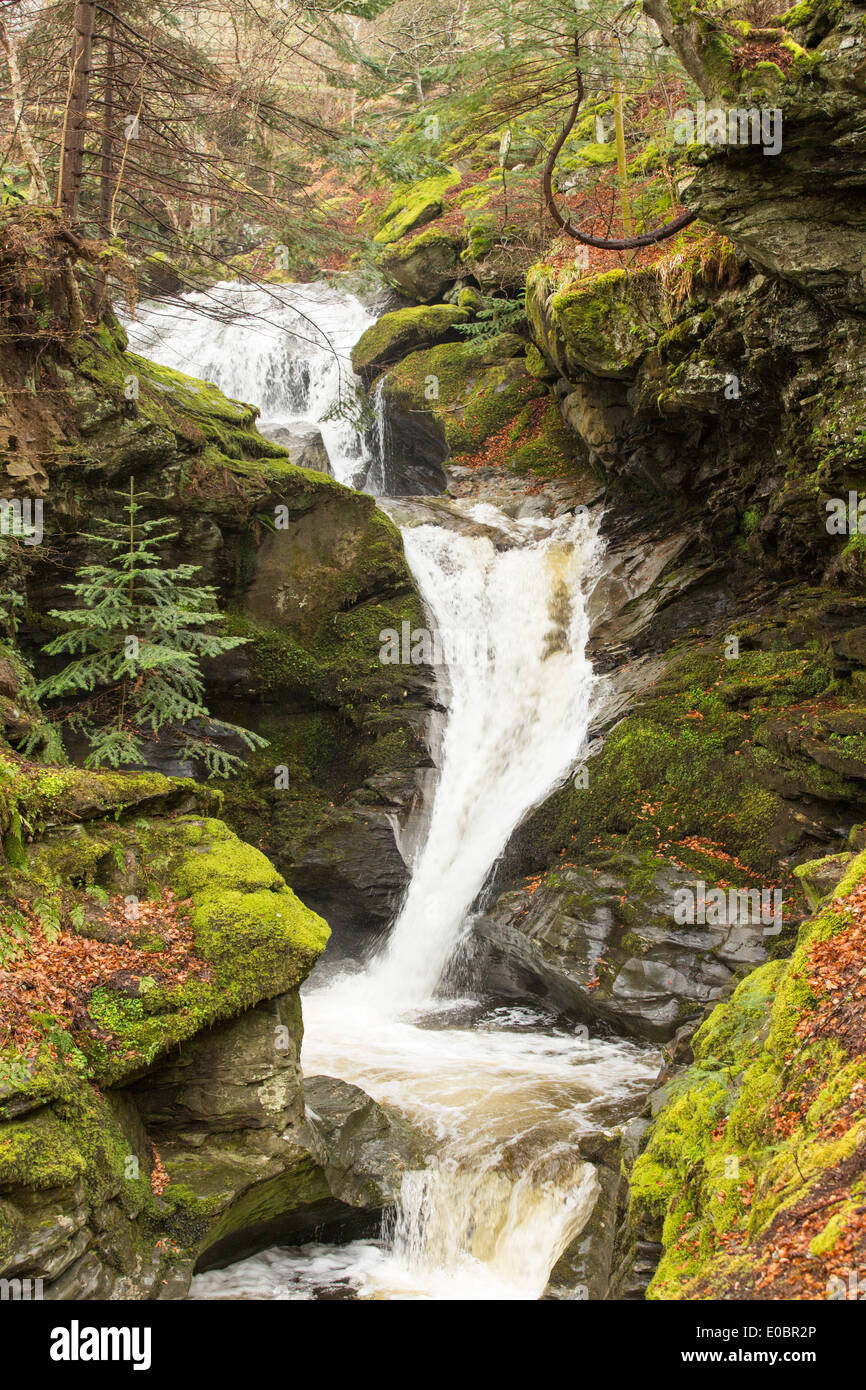 The Falls of Acharn near loch Tay, Scotland, UK Stock Photo - Alamy