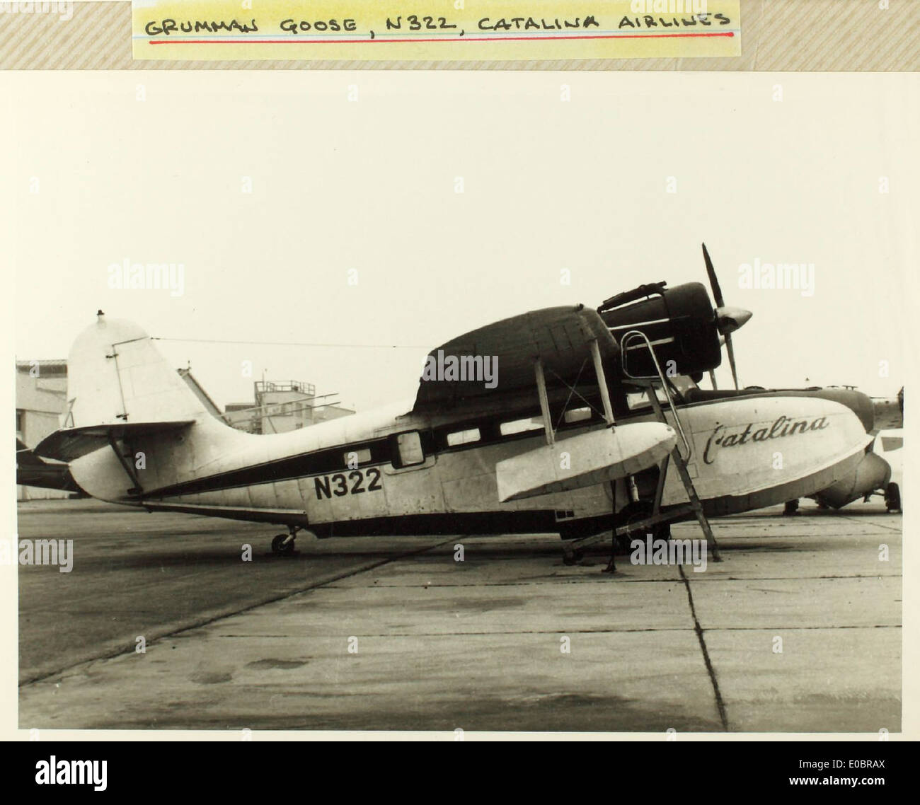 G 21a goose hi-res stock photography and images - Alamy