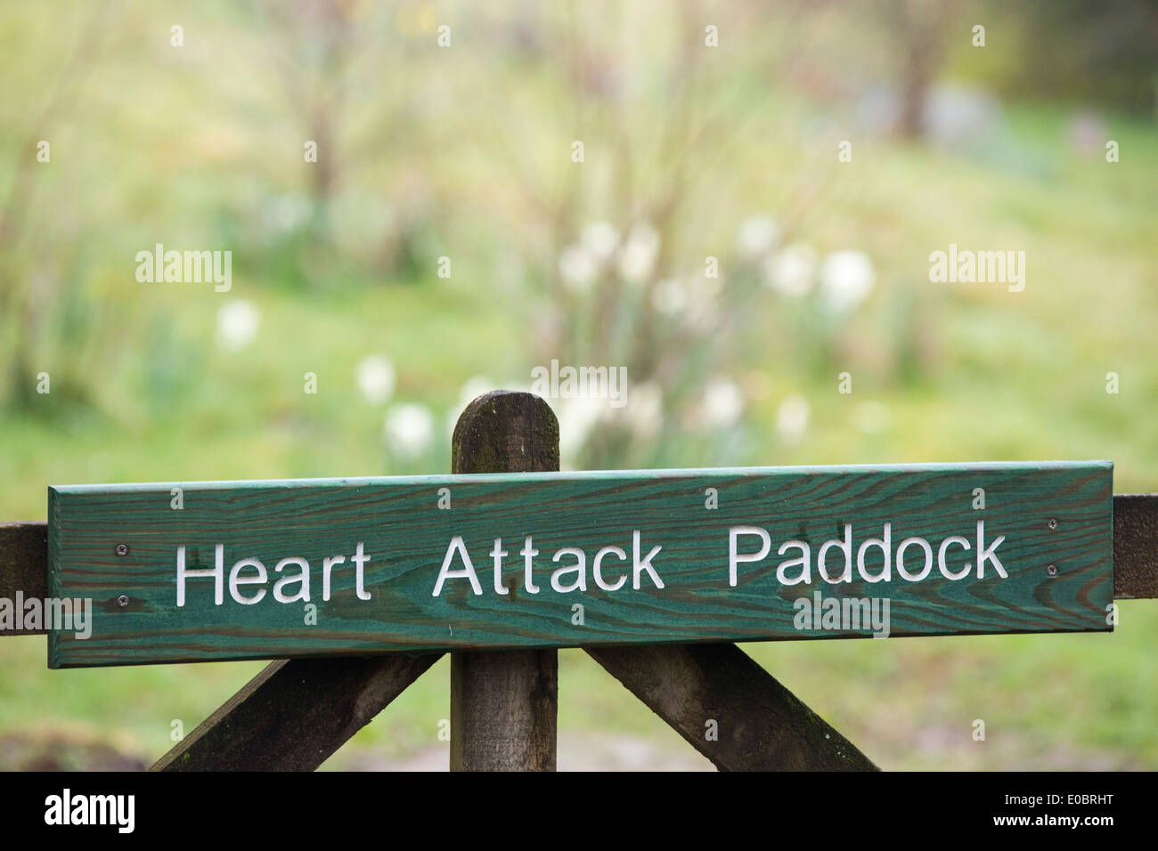 A querky sign on Loch Voil in Scotland, UK Stock Photo - Alamy
