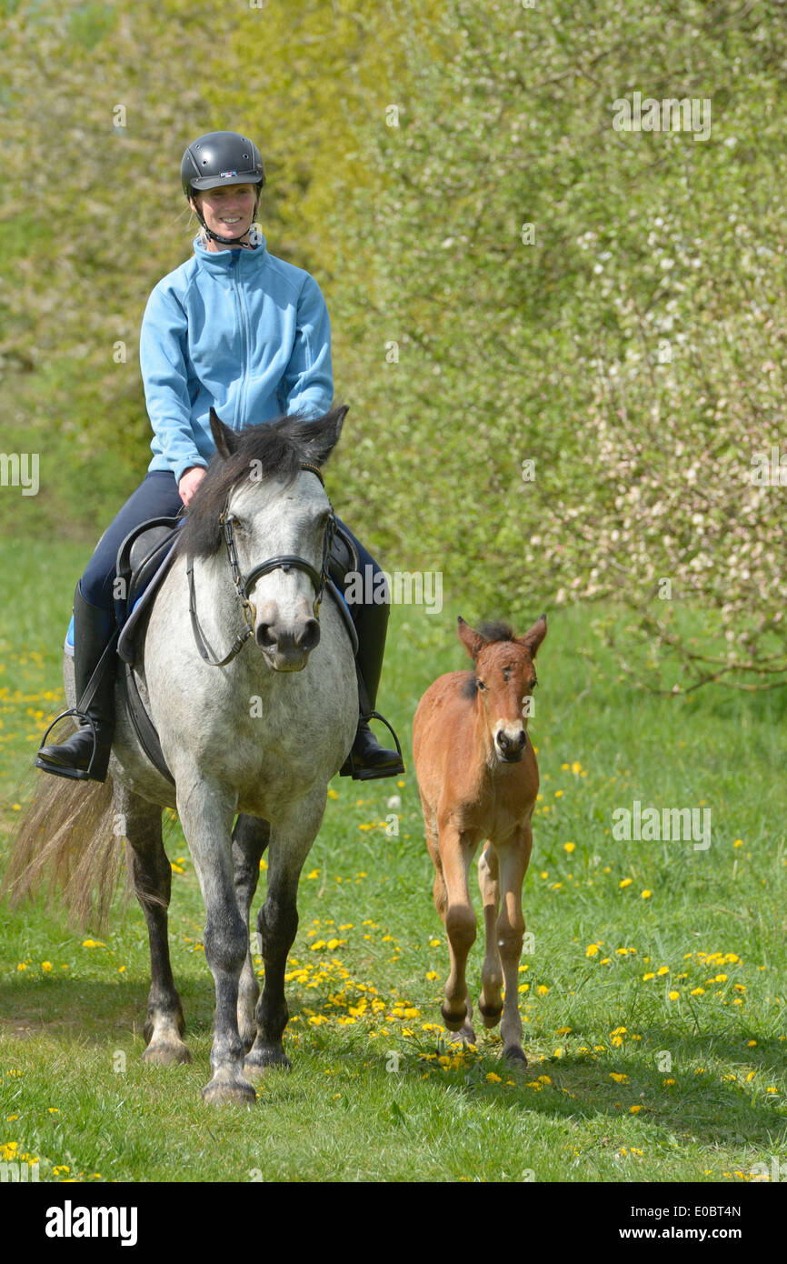 Mare foal rider riding hi-res stock photography and images - Alamy