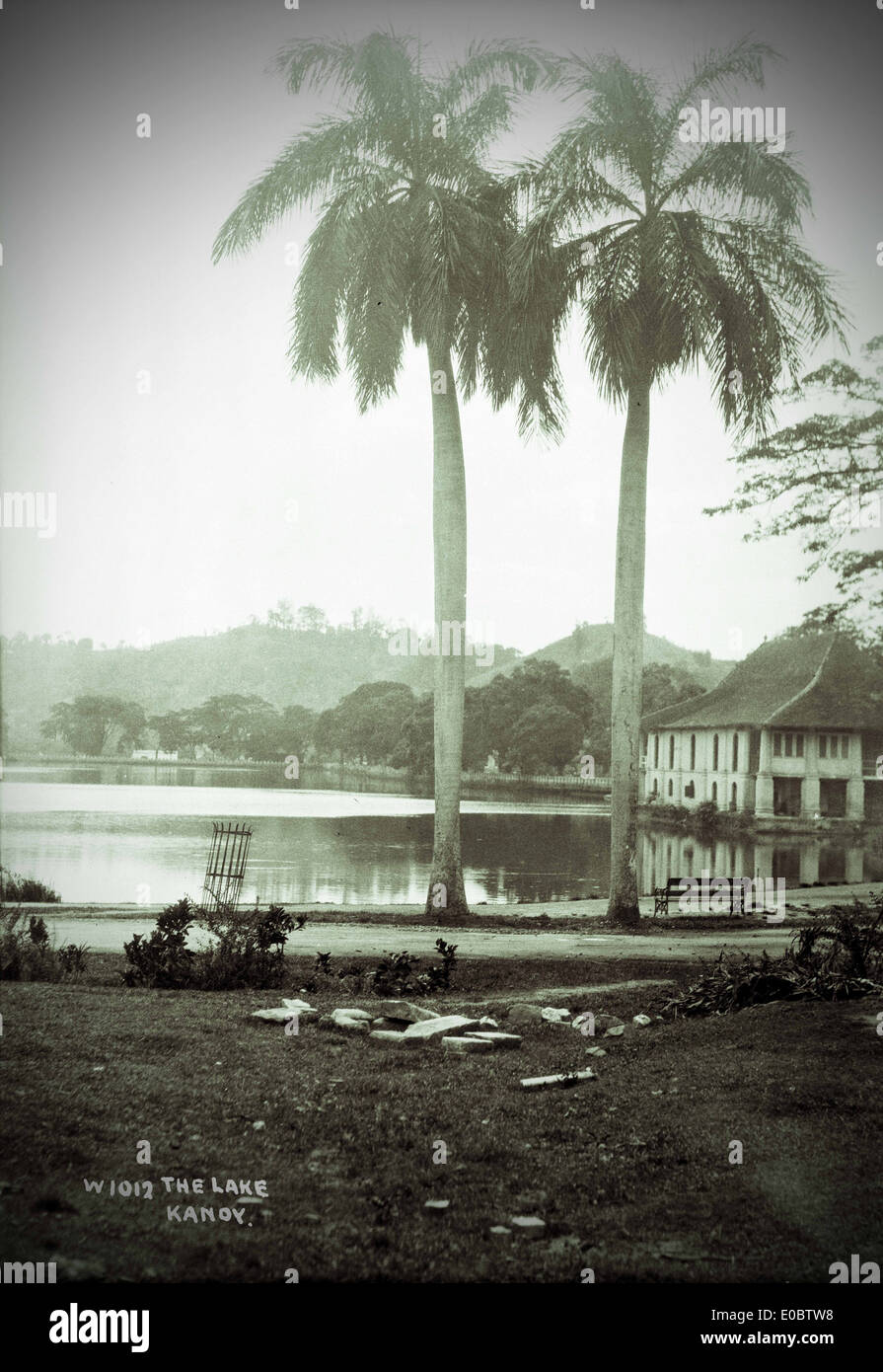 Ceylon (Sri Lanka Stock Photo - Alamy