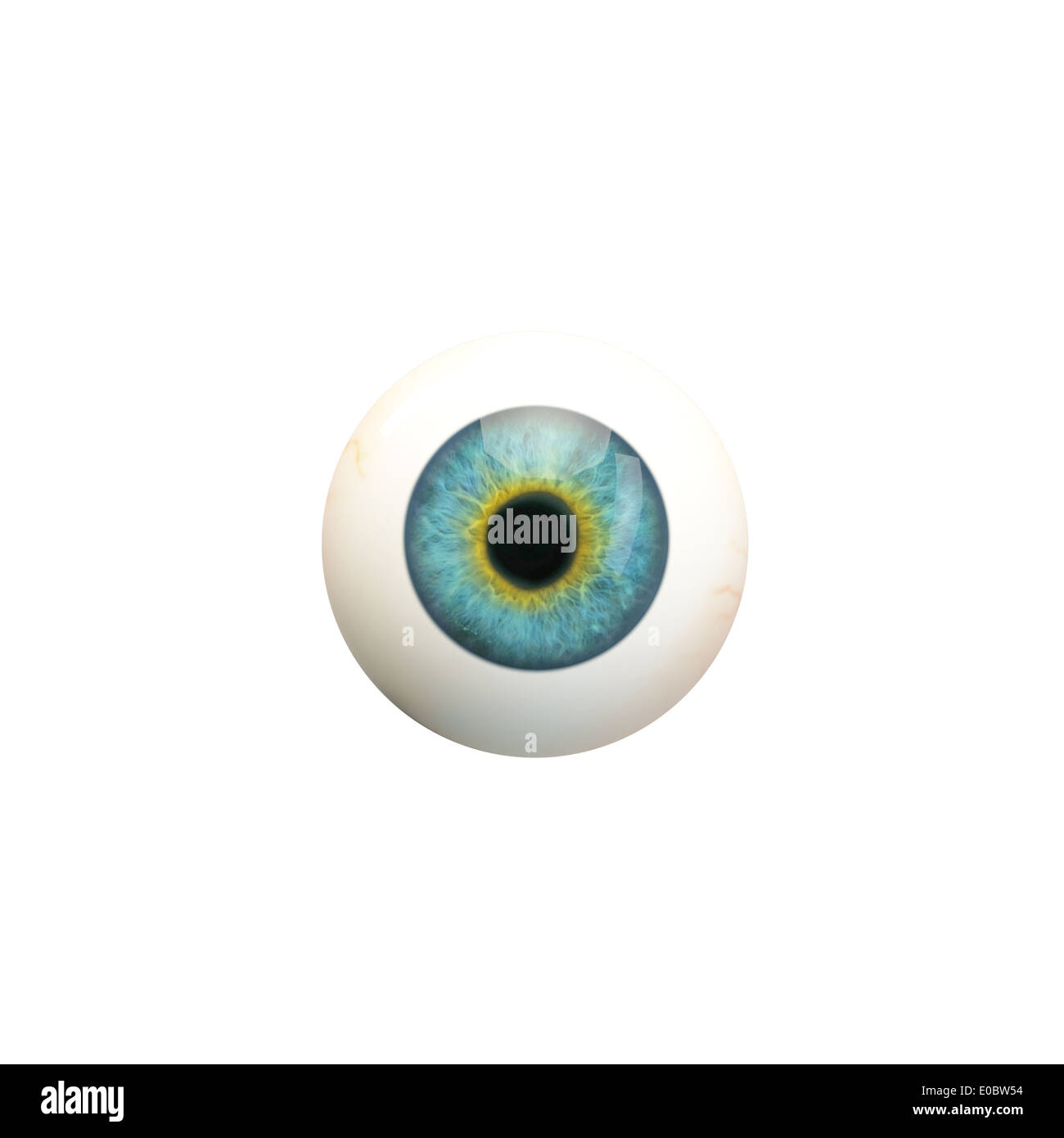 human eye isolated on white background Stock Photo - Alamy