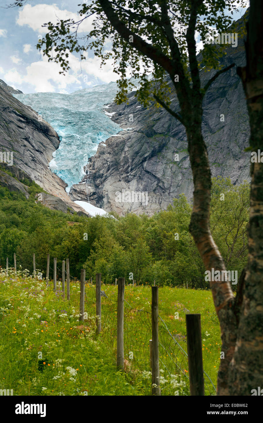 Briksdal Glacier in Olden, Norway Stock Photo - Alamy