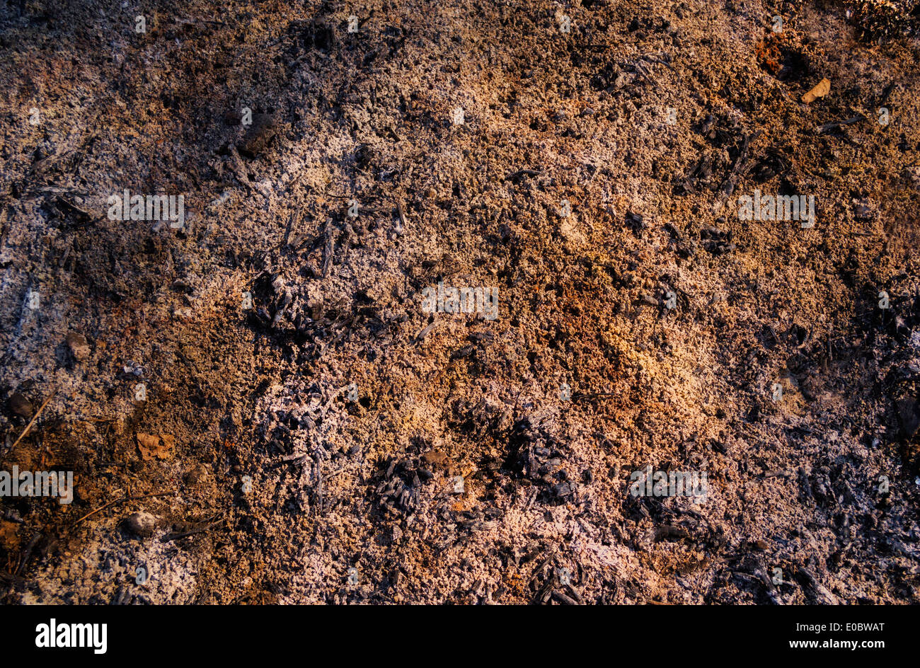 Ashes texture, may use as a background Stock Photo - Alamy