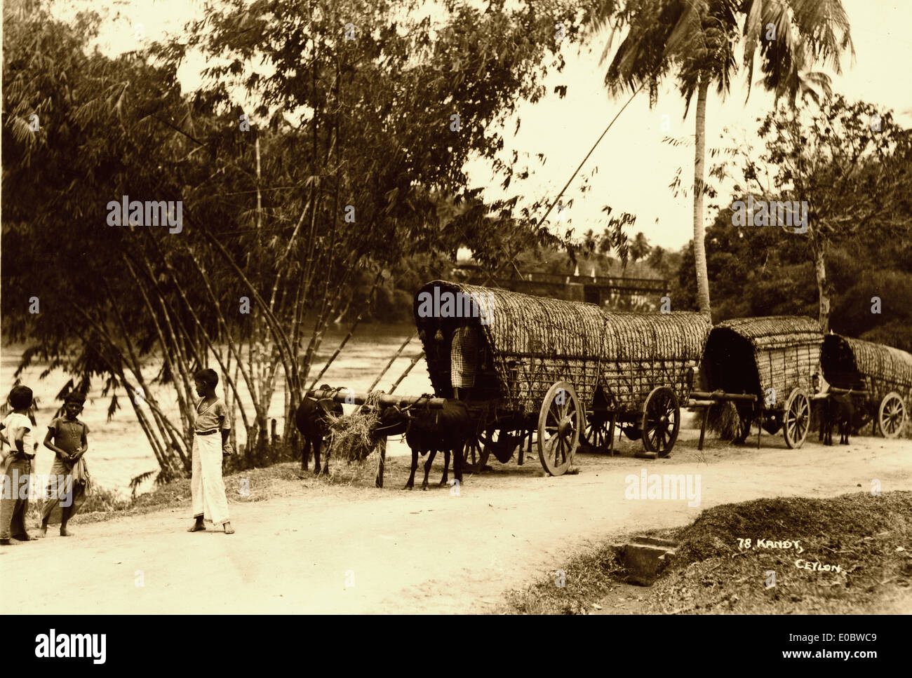 Ceylon (Sri Lanka Stock Photo - Alamy