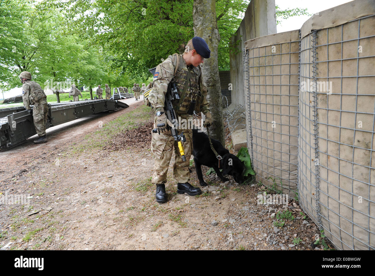 female solder and here search dog training before they go to ...
