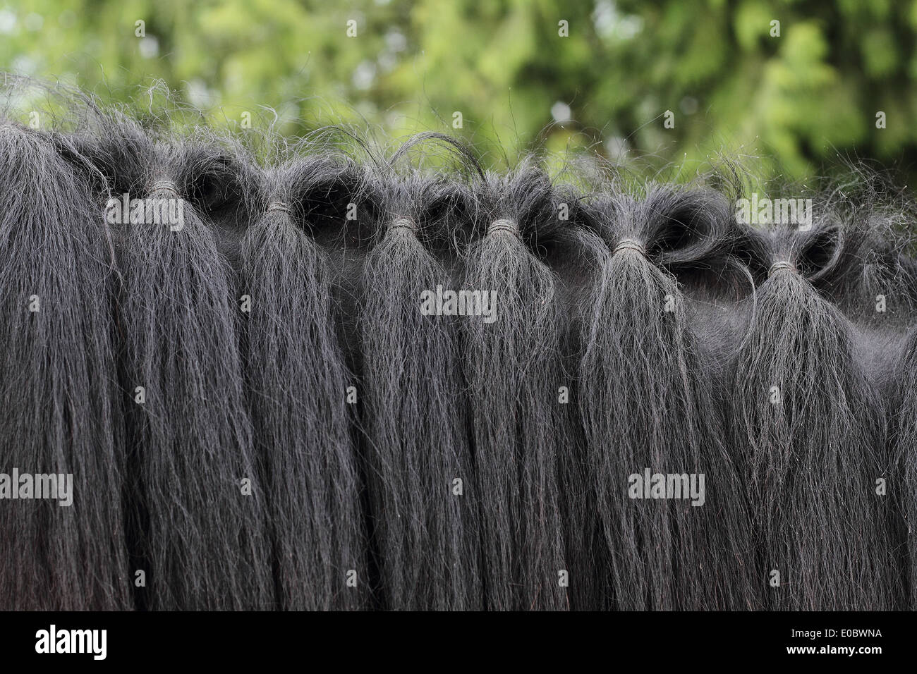 Mane people hi-res stock photography and images - Alamy