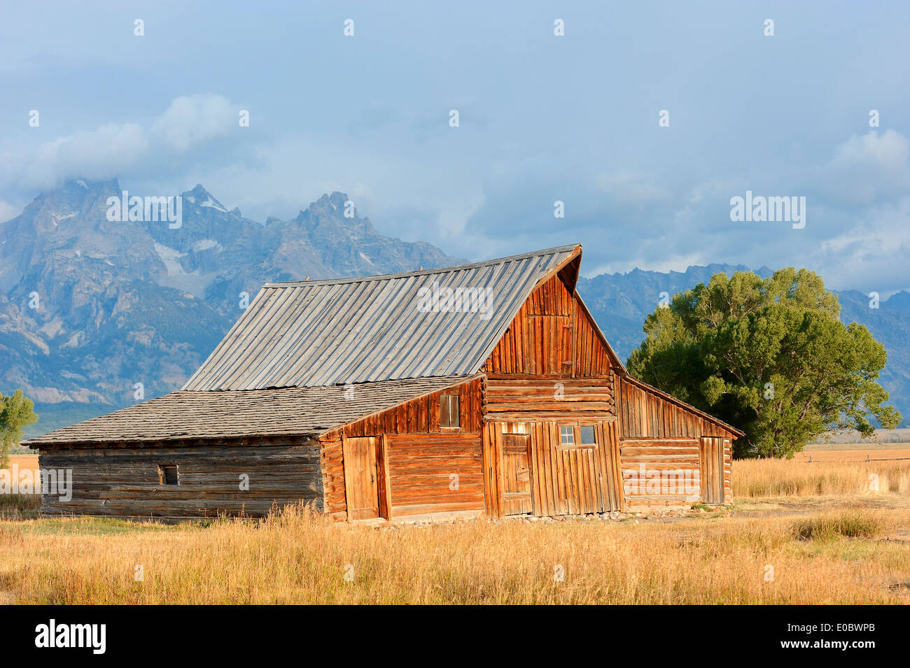Historic barn in front of Teton Mountain Range, Mormon Row, Antelope ...
