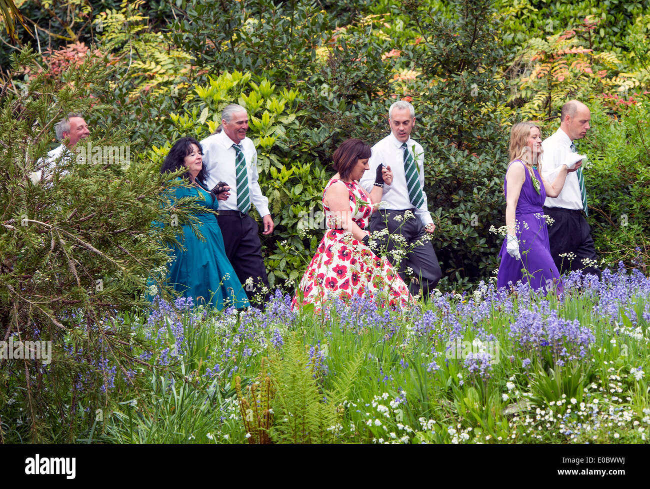 Helston Flora Day 2014 Evening Dance which takes place at 5pm Stock ...