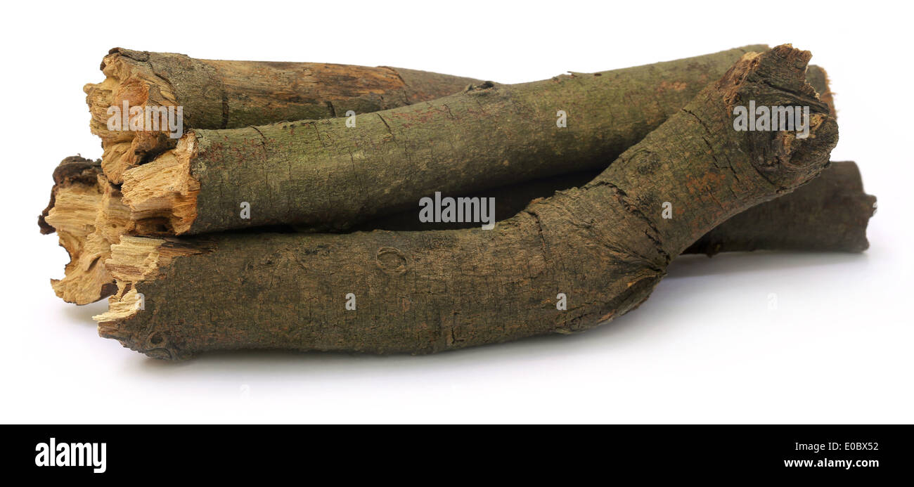 Twig fire Cut Out Stock Images & Pictures - Alamy