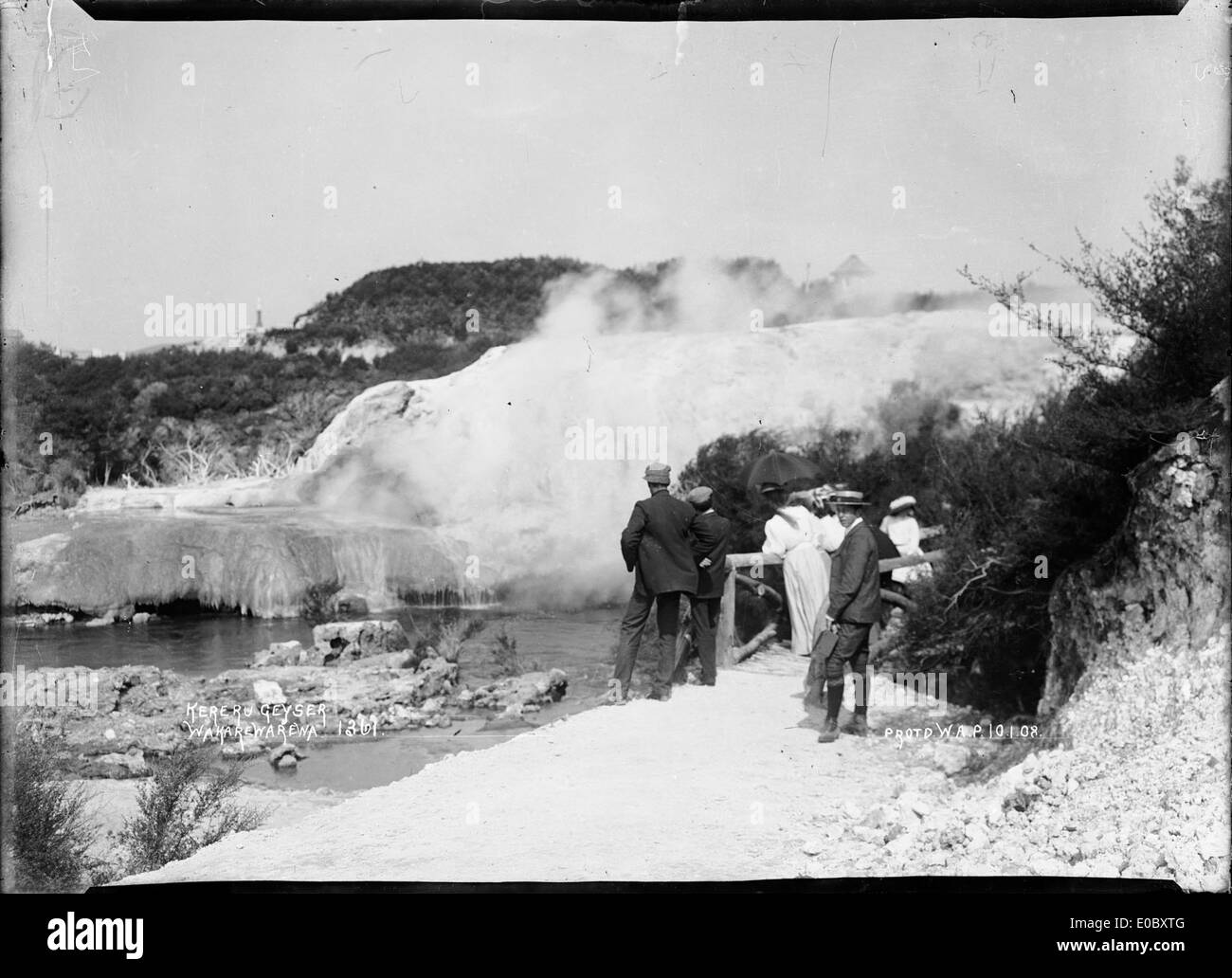 Kereru geyser hi-res stock photography and images - Alamy