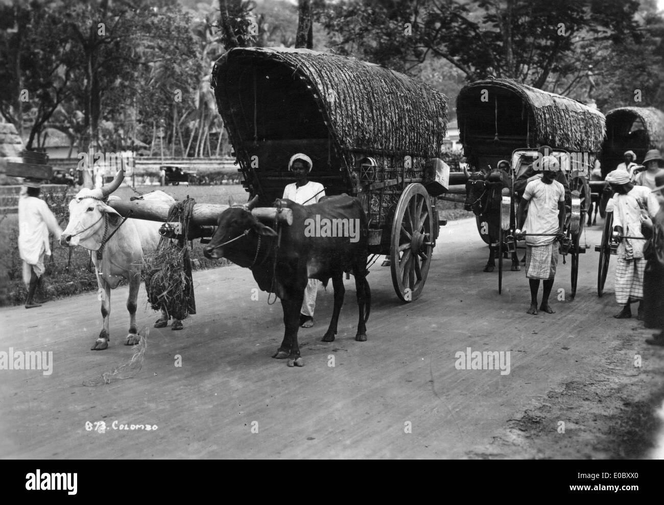 Ceylon (Sri Lanka Stock Photo - Alamy
