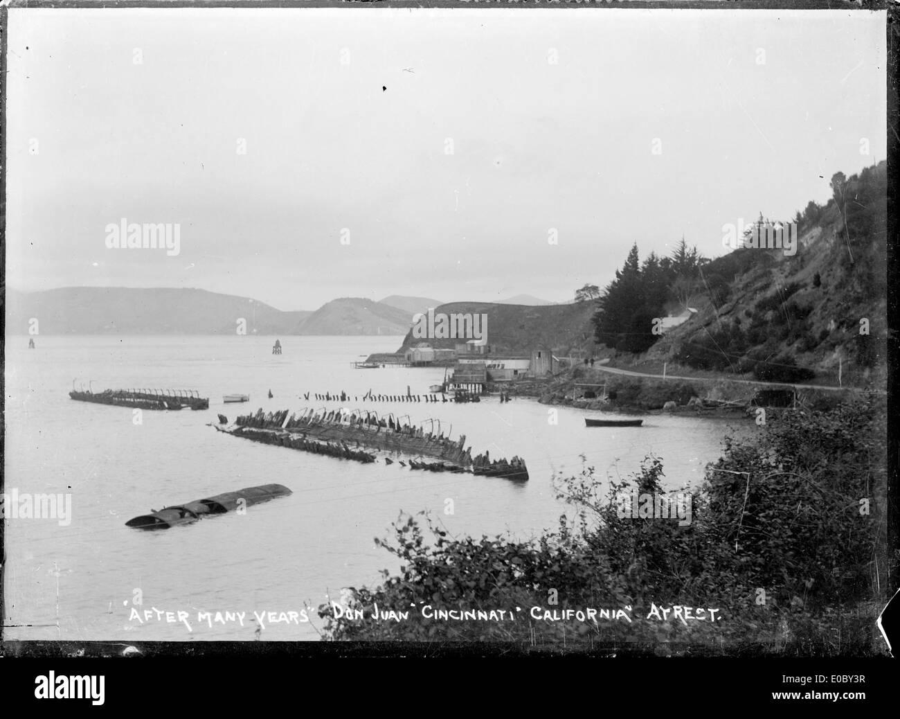 A photograph taken in the early 1900s showing three decaying ship hulls ...