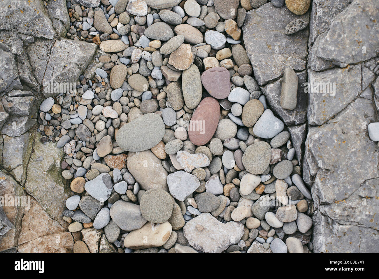 Beech pebbles hi-res stock photography and images - Alamy