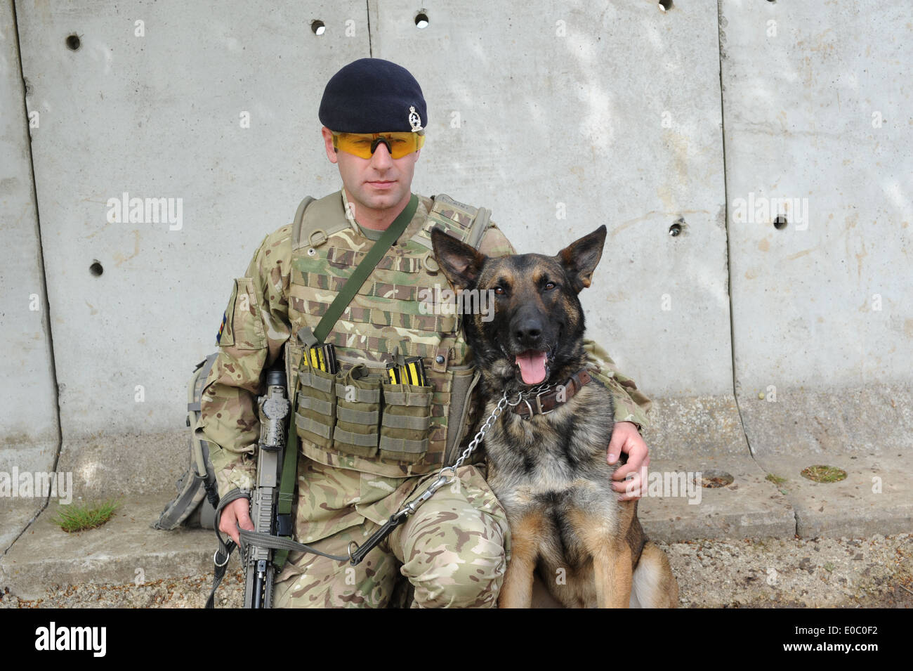 t Military Working Dog dog counter insurgency ied improvised explosive ...